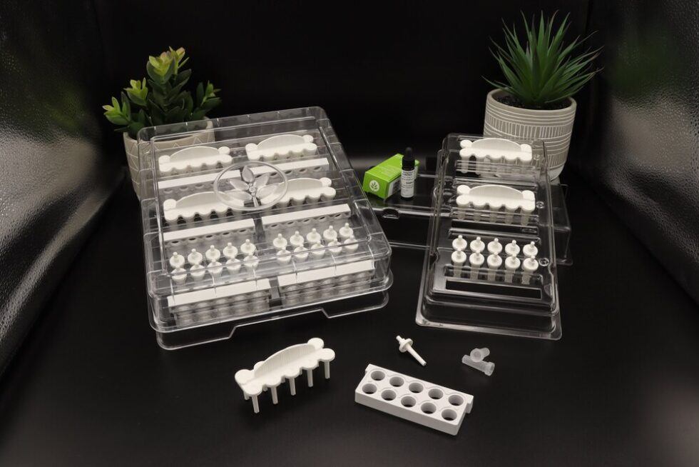 The Importance of Skin Testing in Allergy Treatment - HollisterStier ...