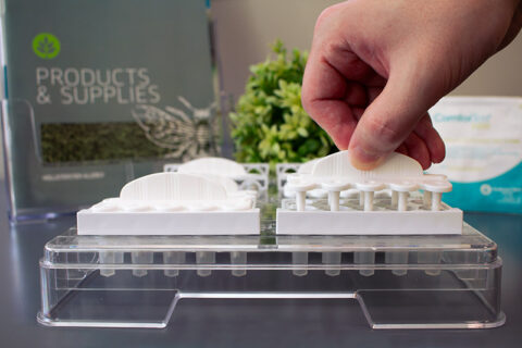 Allergy Testing - HollisterStier Allergy