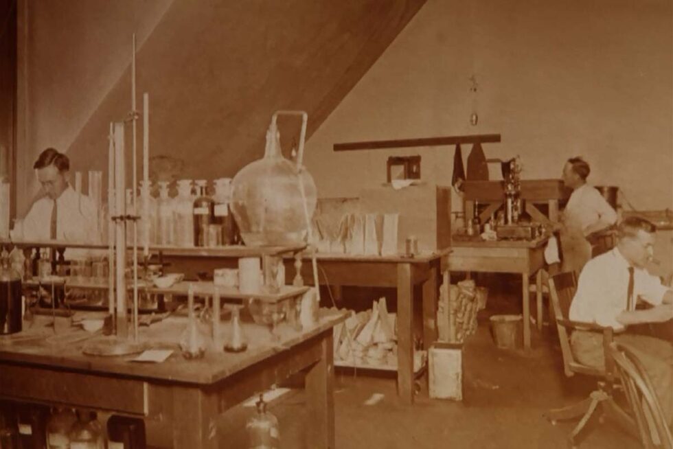 Venom Immunotherapy: What is it and How Does it Benefit Patients ...